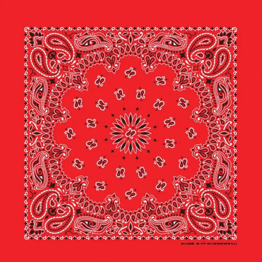 Red Paisley Bandana - Bandana Beach – Bandana Beach